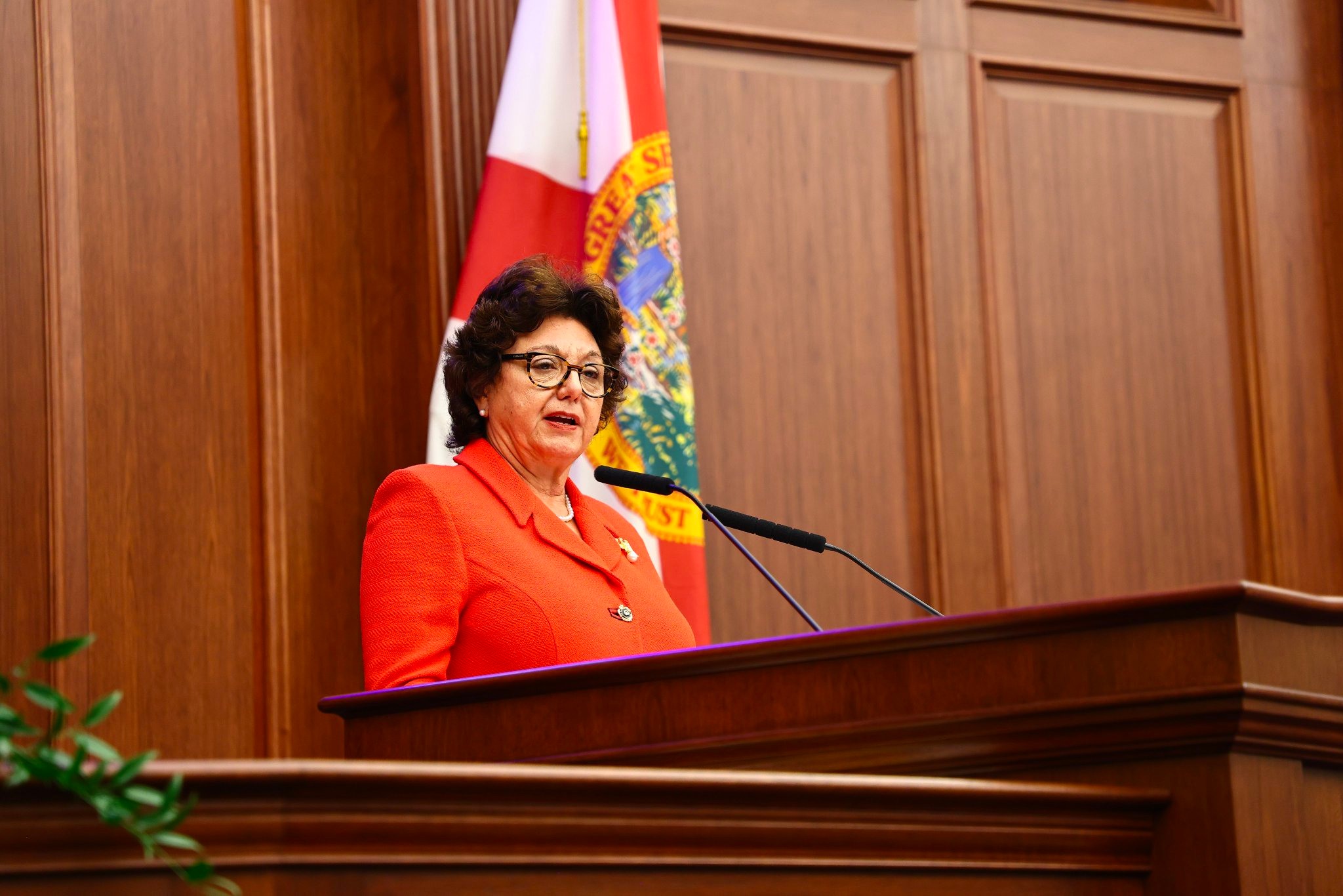 This is the person blocking Open Carry in Florida