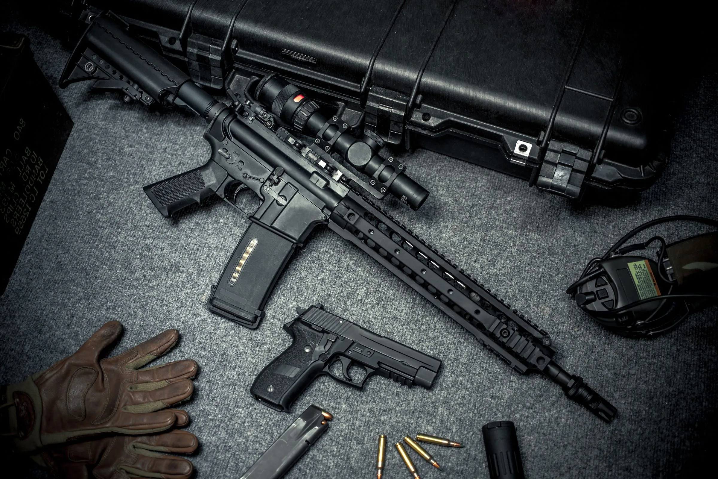 Tell DeSantis To REPEAL Florida's 'Red Flag Gun Seizure' Law! - Florida ...